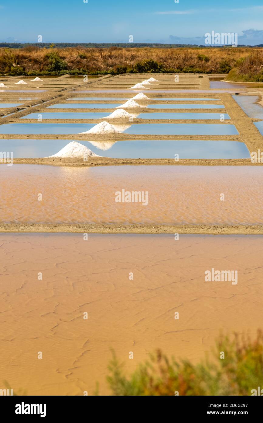 Guerande in Brittany, panorama of the the salt marshes Stock Photo - Alamy