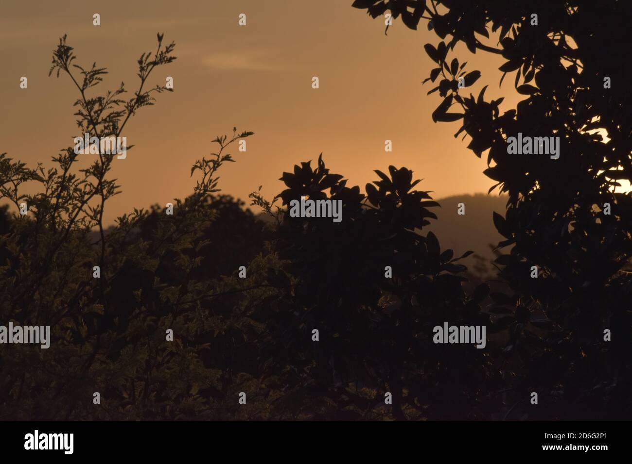 sunset from my window view Stock Photo - Alamy