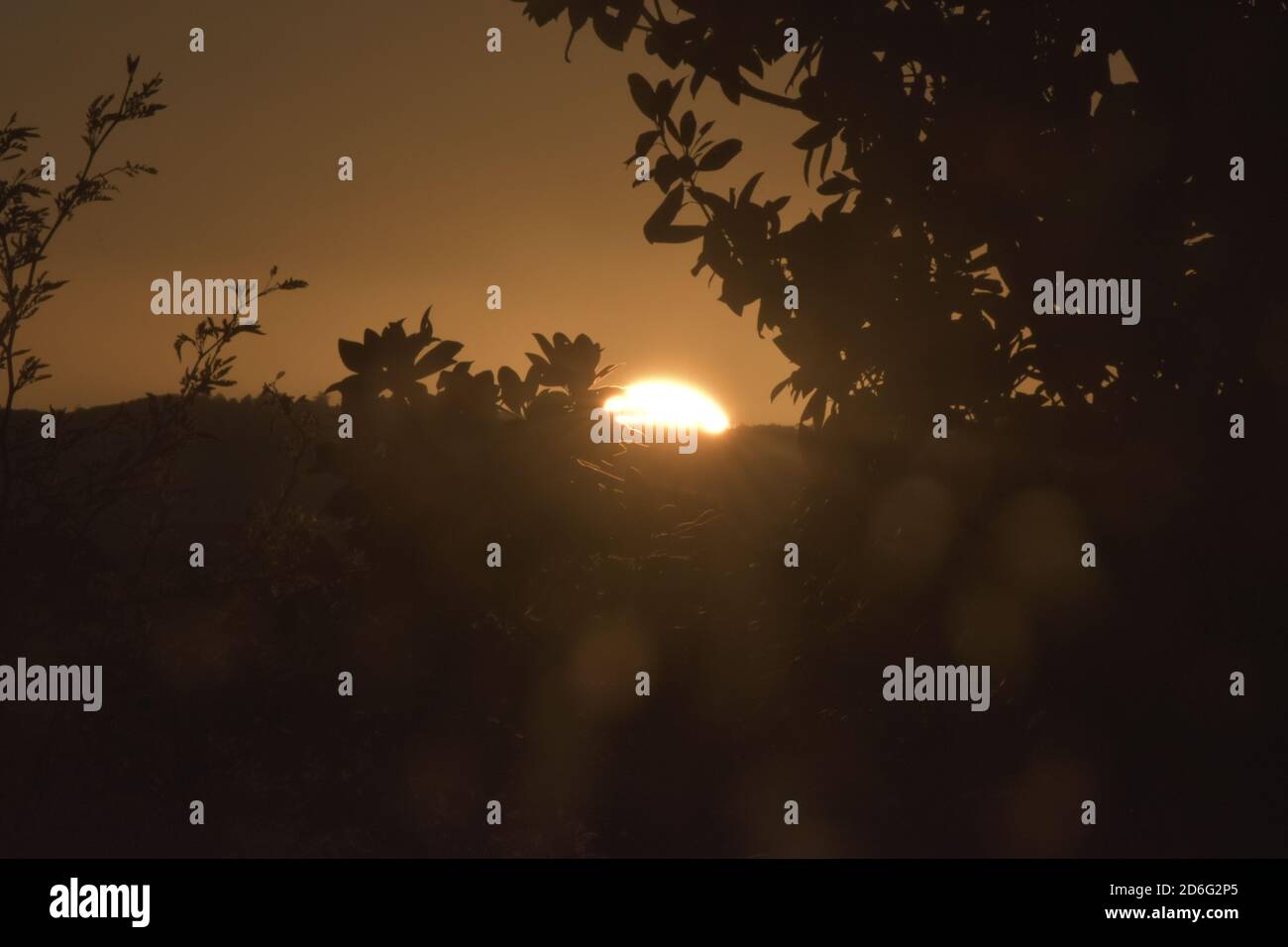 Beautiful night time silhouette hi-res stock photography and images - Alamy