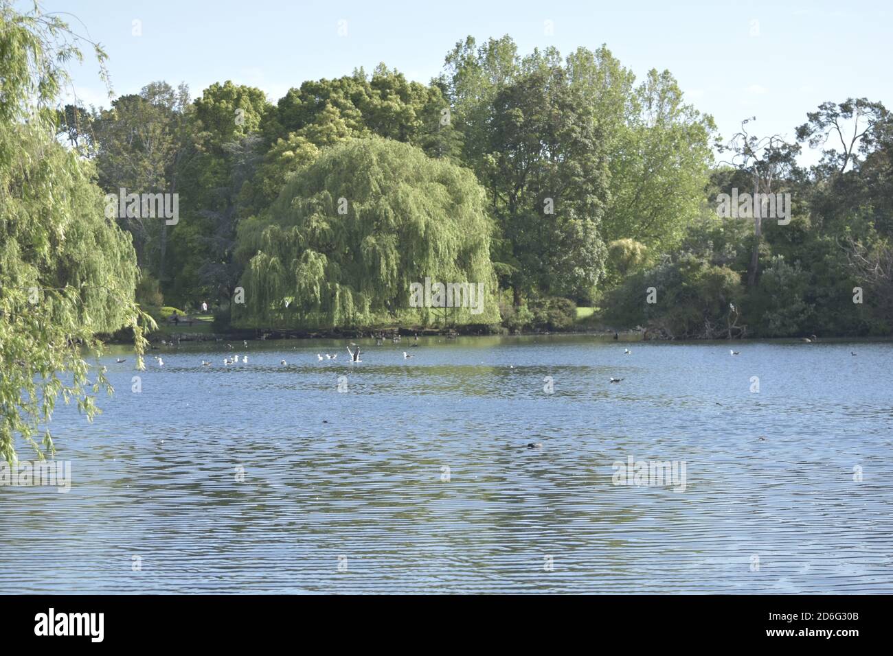A lake from a park view Stock Photo - Alamy