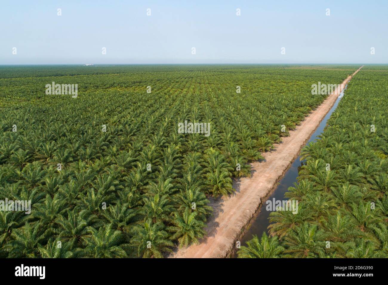 Aerial oil palm farm land hi-res stock photography and images - Alamy