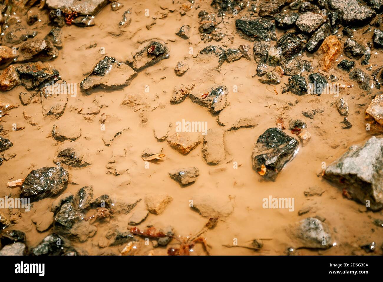 Sandy rock texture under the water Stock Photo - Alamy