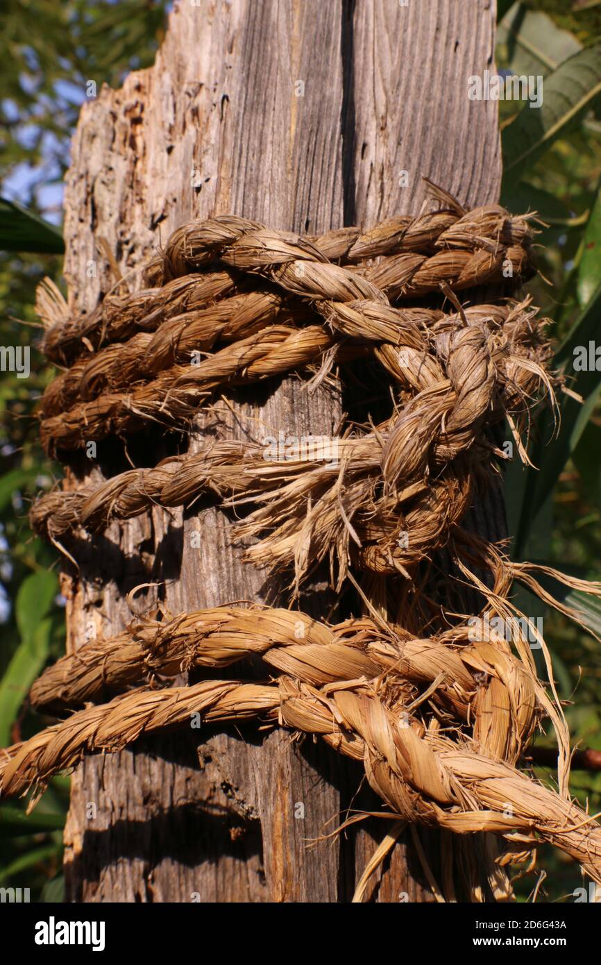 Fibre tear hi-res stock photography and images - Alamy