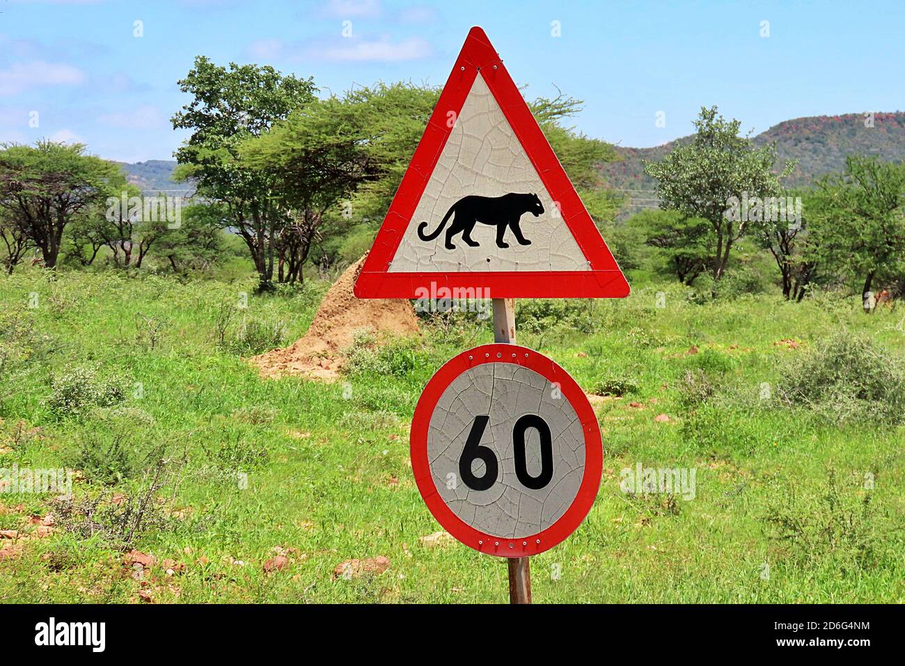 A road sign with a leopard on it and a sixty speed limit in Okonjima ...