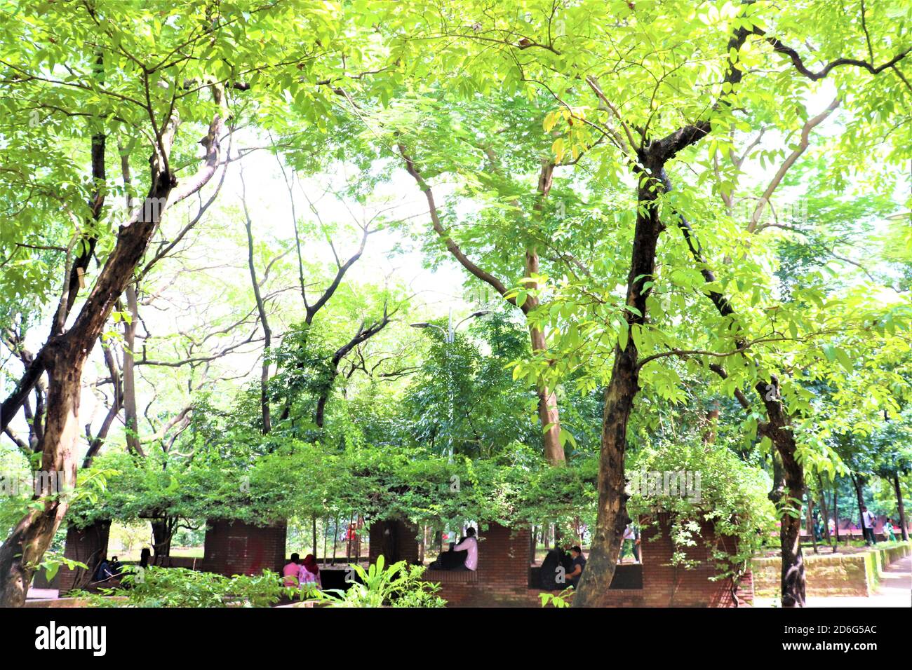 Couples are romancing in the Dhanmondi lake in Dhaka Stock Photo - Alamy