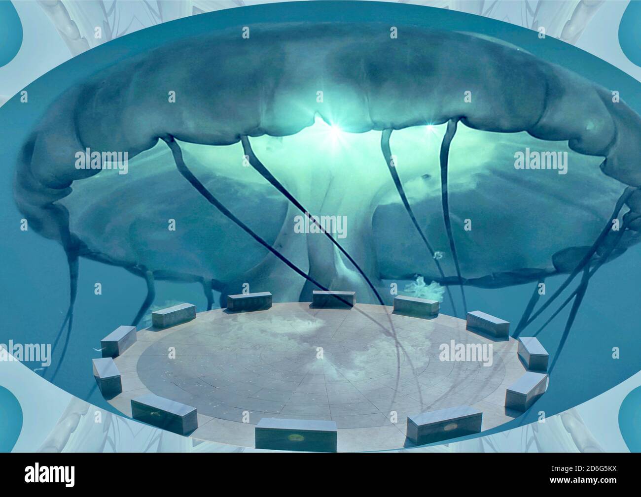 Disc star hi-res stock photography and images - Alamy