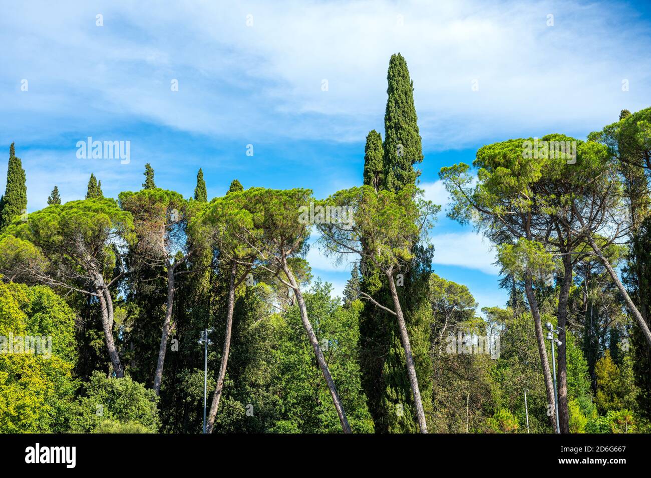 Beautiful green trees other hi-res stock photography and images - Alamy