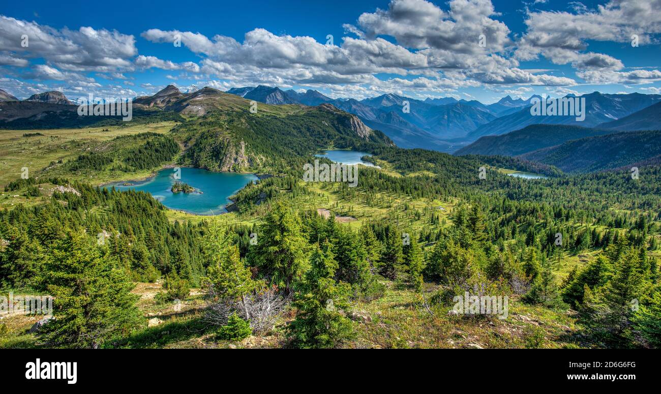 The amazing landscape of Sunshine Meadows in Canada Stock Photo - Alamy