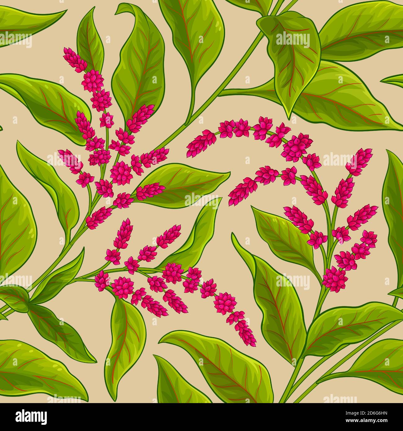 Amaranth Stock Vector Images - Alamy