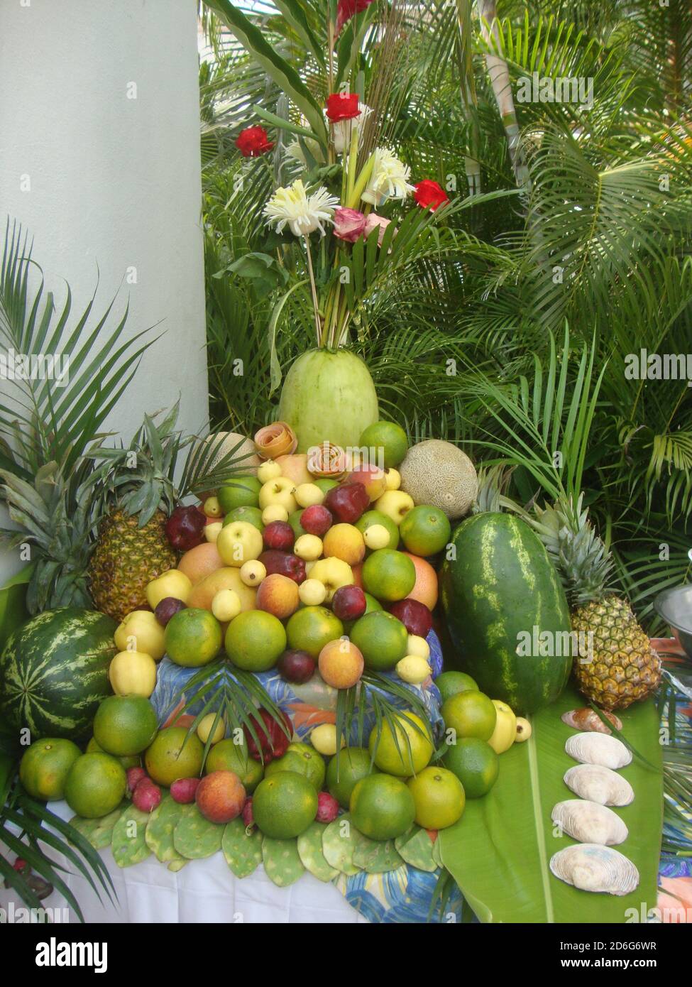 Fruit plam hi-res stock photography and images - Alamy