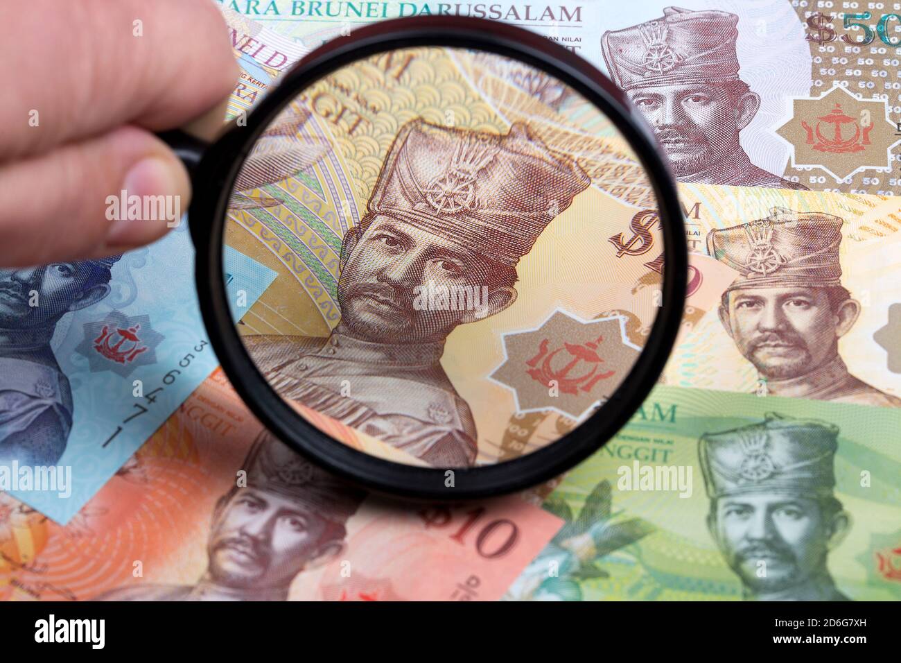 Brunei Dollar In A Magnifying Glass Stock Photo Alamy