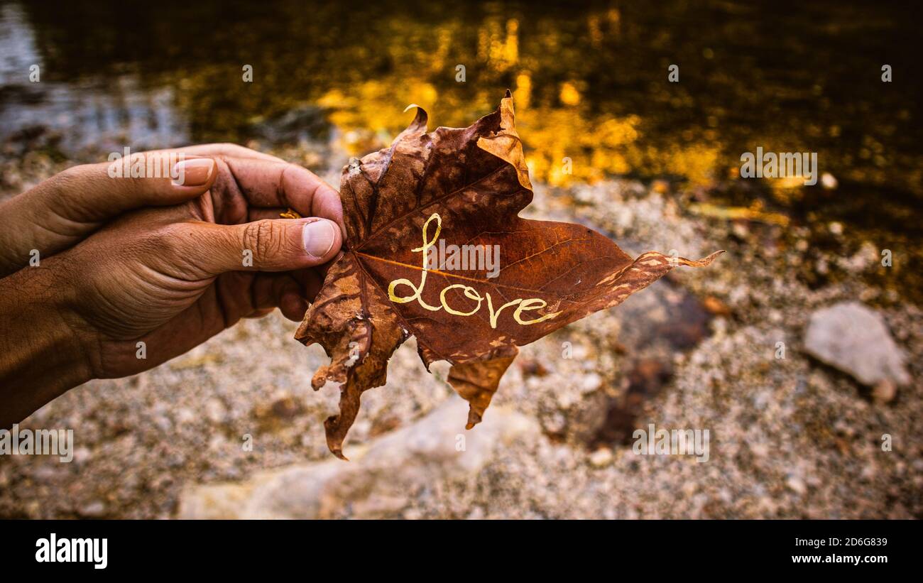 Love message holding hands Stock Photo - Alamy