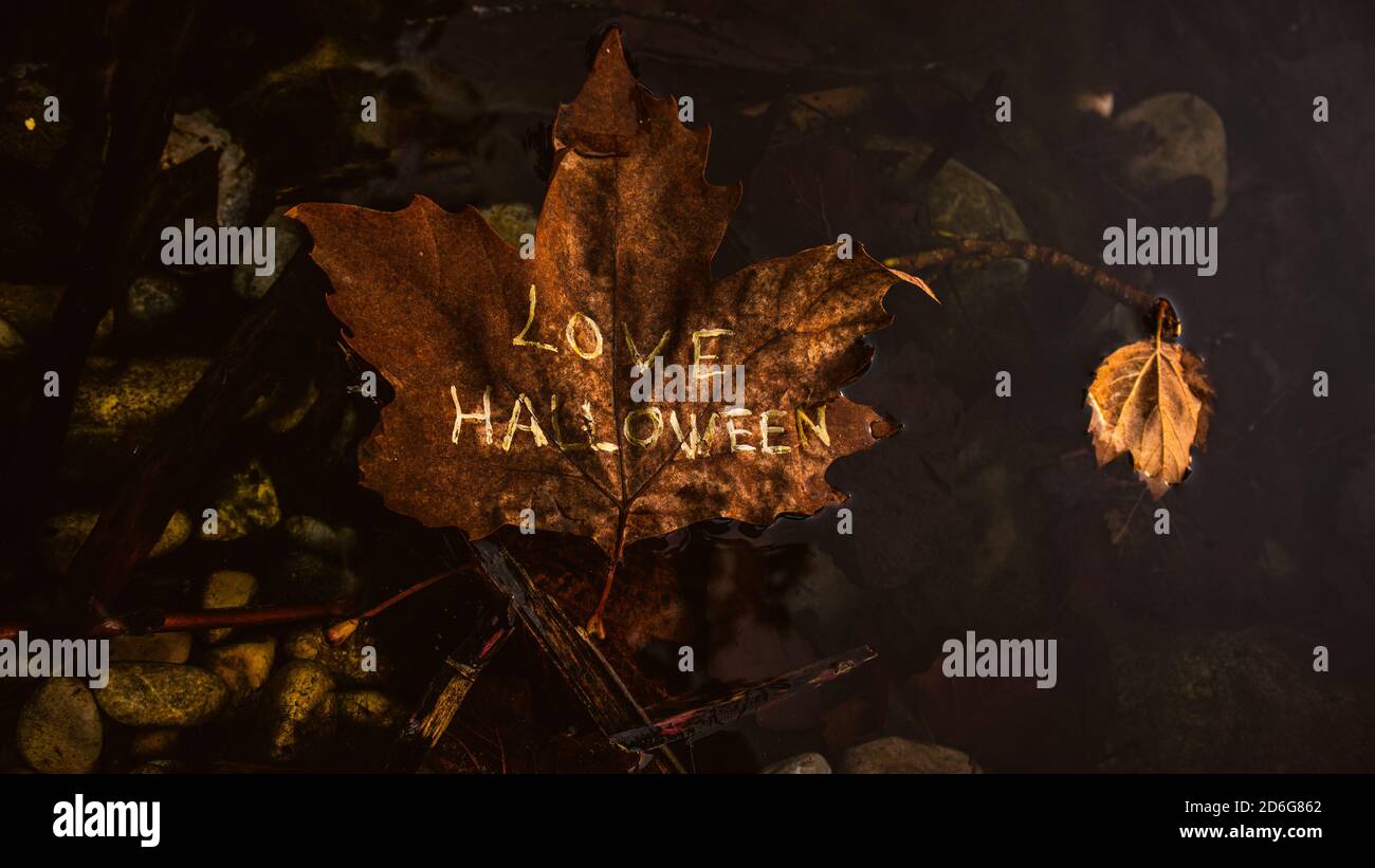 Hocus pocus time hi-res stock photography and images - Alamy