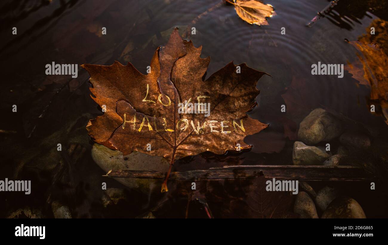 Hocus pocus time hi-res stock photography and images - Alamy