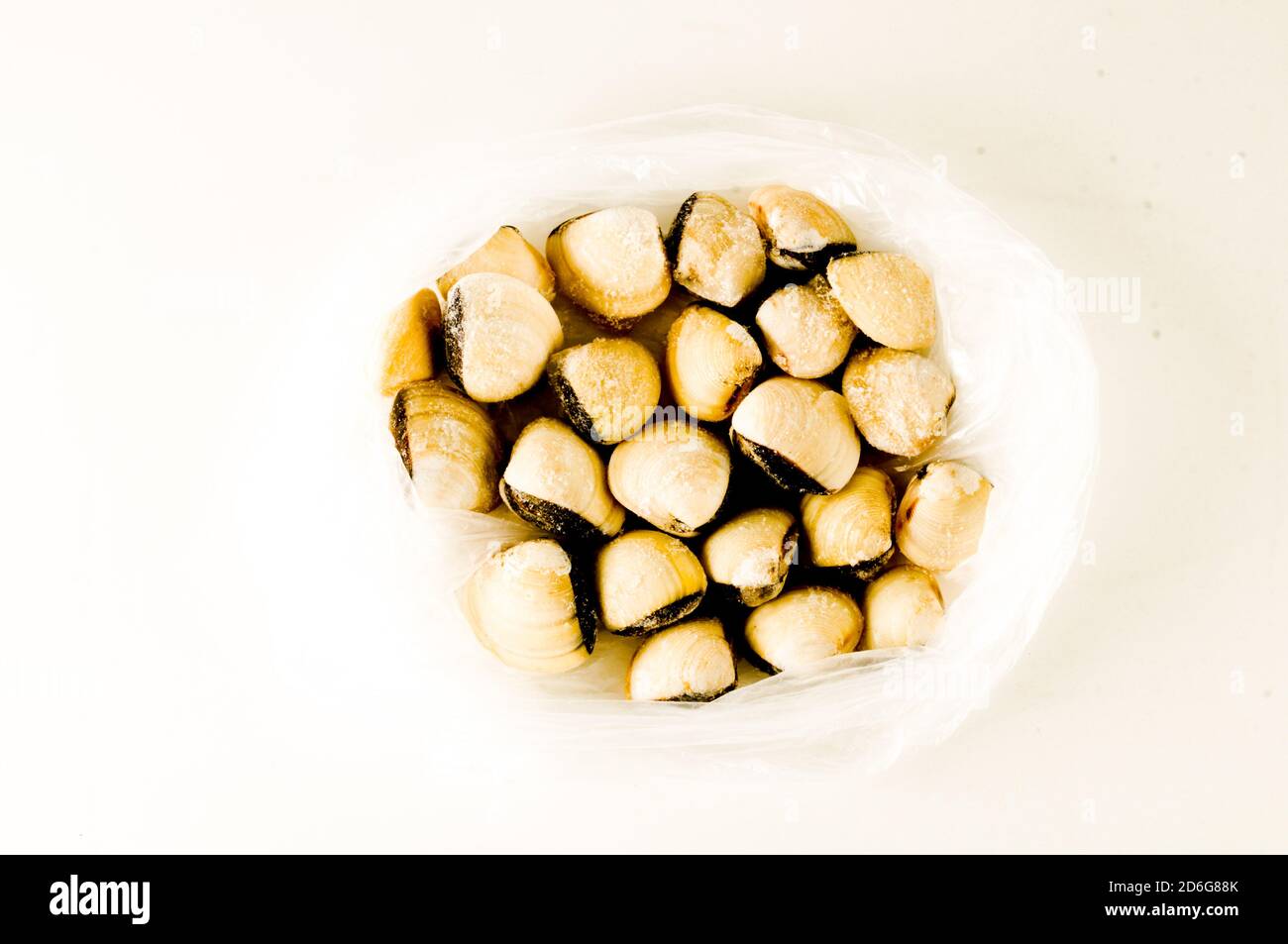 Collection of various clam shells Stock Photo - Alamy