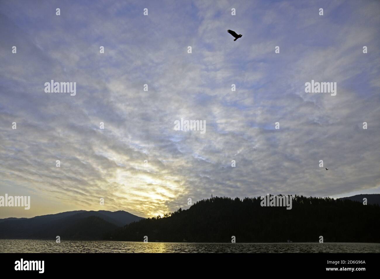 Kokanee spawning season hi-res stock photography and images - Alamy