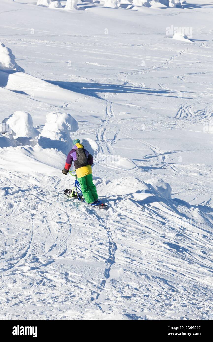 Monoski hi-res stock photography and images - Alamy