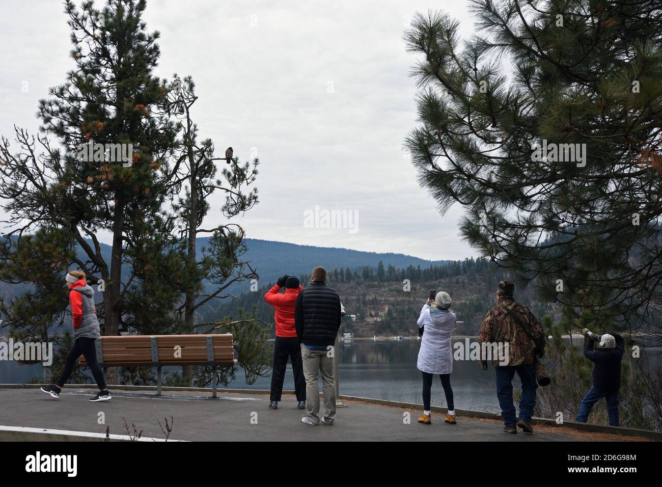 People watching and photographing bald eagle at Higgins Point at Lake ...