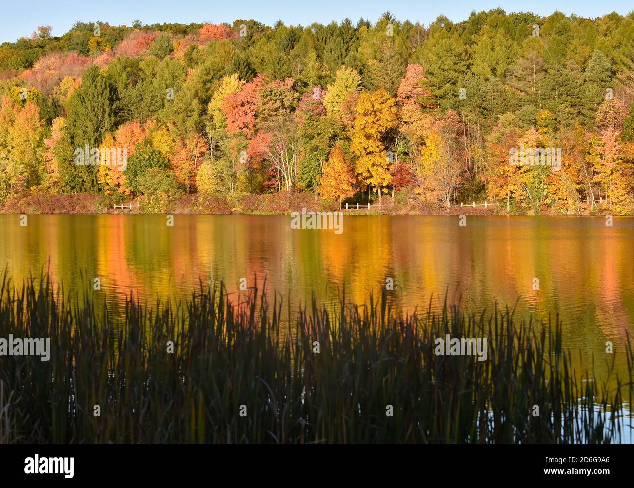 Weeks State Park High Resolution Stock Photography and Images - Alamy