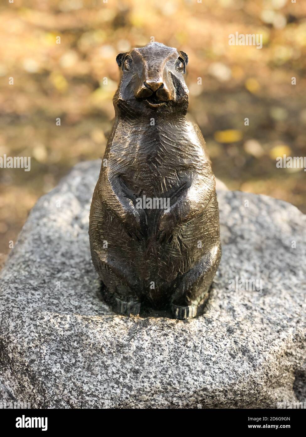Magadan, Russia. October 2020. Bronze statue of arctic ground squirrel ...