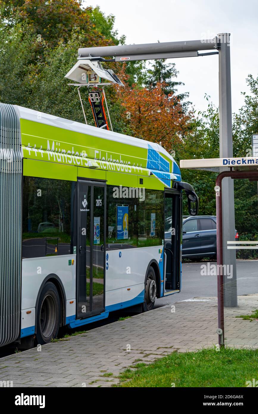 Electric bus of Stadtwerke Münster, at a fast charging station, bus ...
