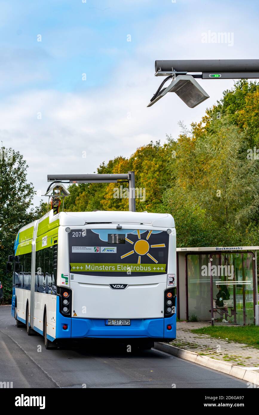 Electric bus of Stadtwerke Münster, at a fast charging station, bus ...