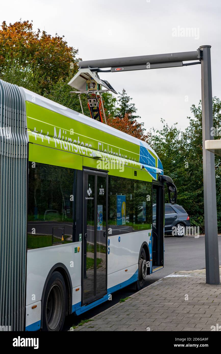 Electric bus of Stadtwerke Münster, at a fast charging station, bus ...