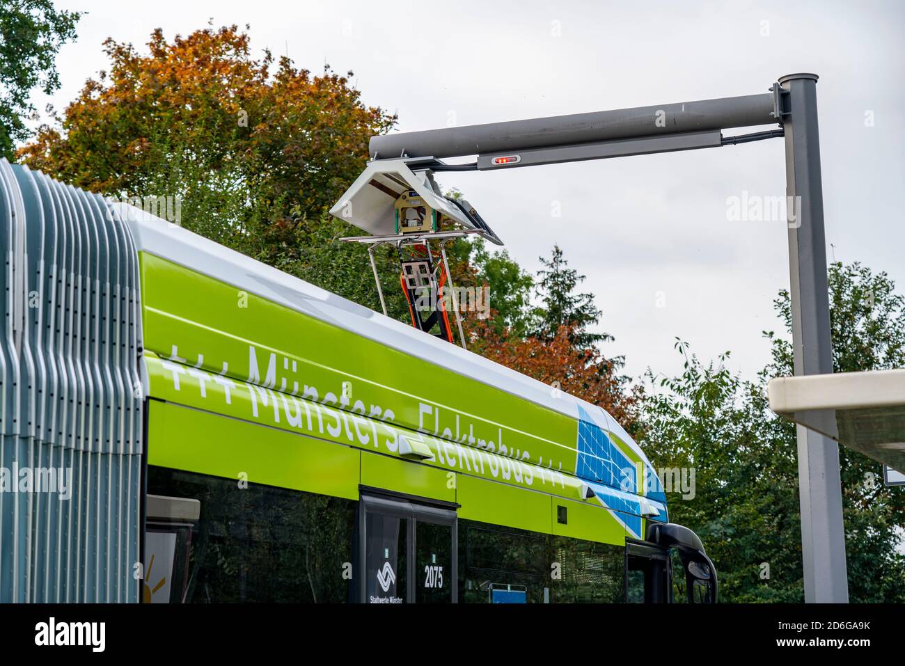 Electric bus of Stadtwerke Münster, at a fast charging station, bus ...