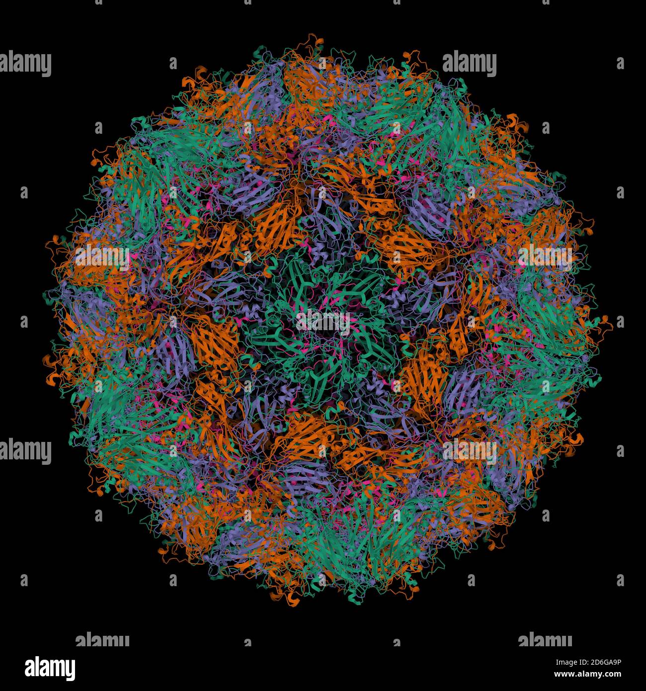 High-resolution crystal structure of Coxsackievirus A24v, 3D cartoon ...