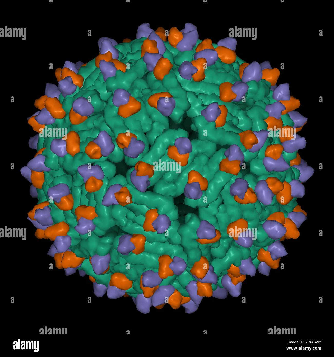 Cryo em structure dengue virus hi-res stock photography and images - Alamy