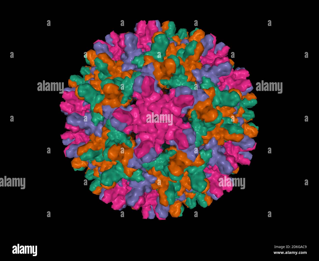Hepatitis b capsid hi-res stock photography and images - Alamy
