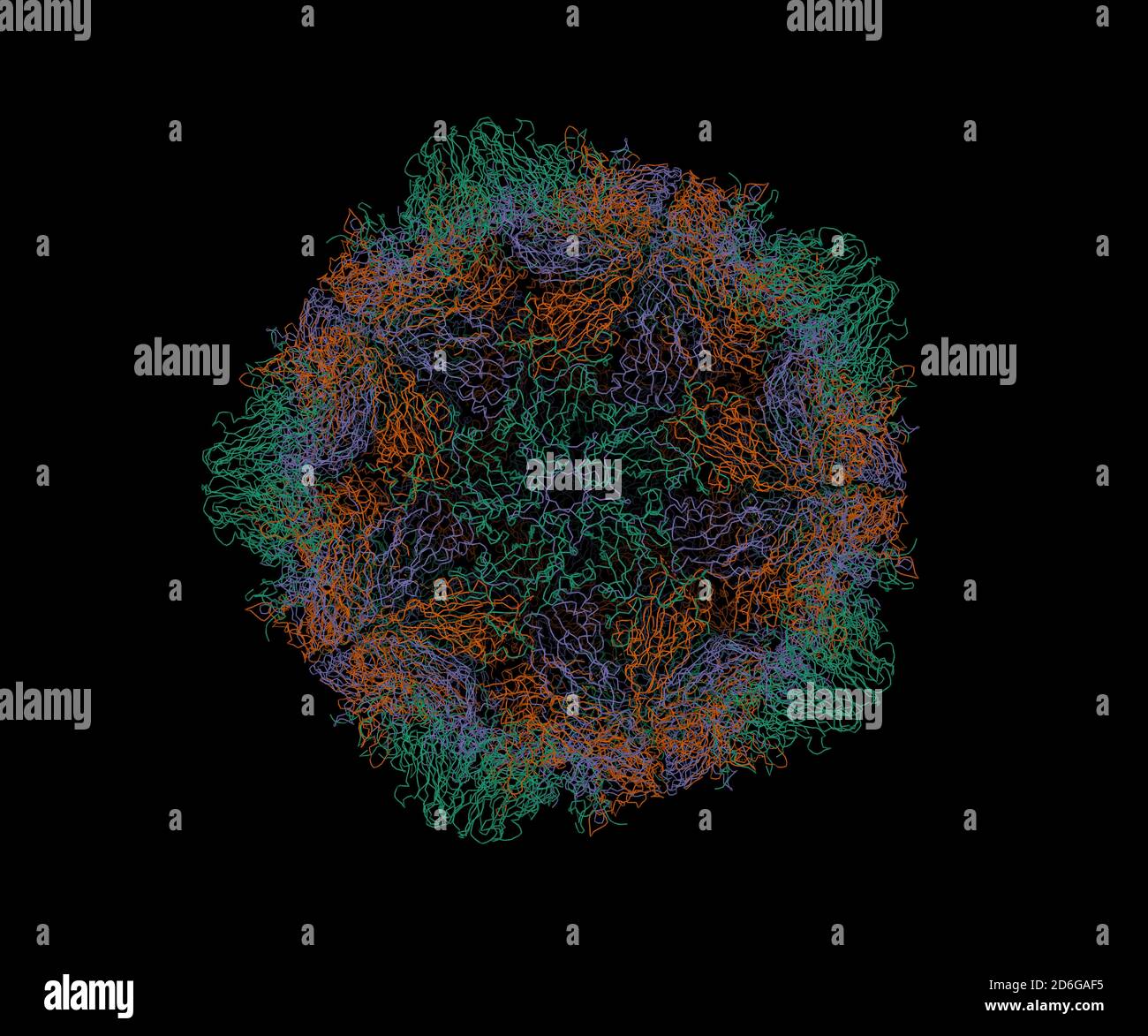Human poliovirus 1 Mahoney, 3D cartoon model of the capsid, black ...