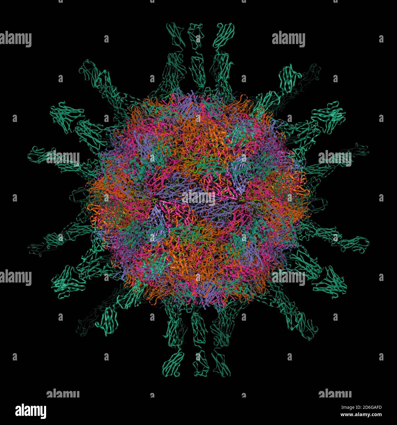 Poliovirus hi-res stock photography and images - Alamy