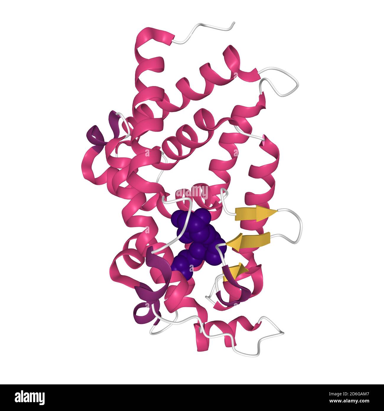 Crystal Structure Of Vdr Ligand Binding Domain Complexed To