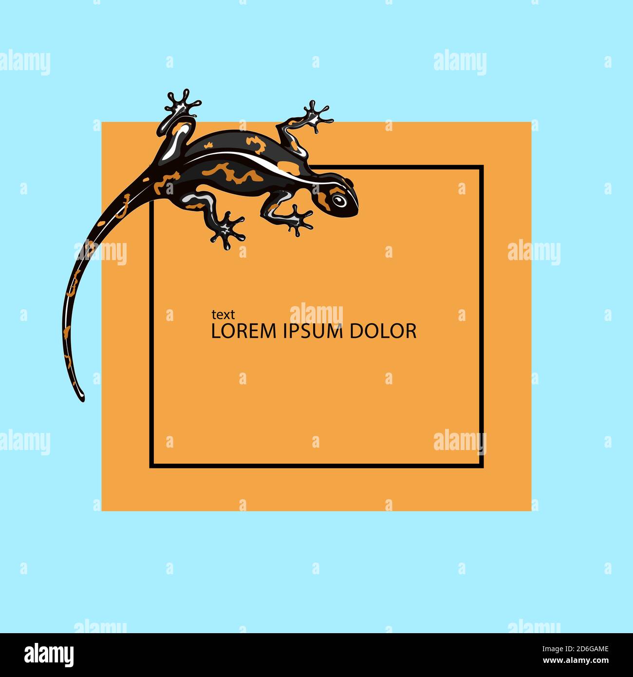 Salamander logo hi-res stock photography and images - Alamy