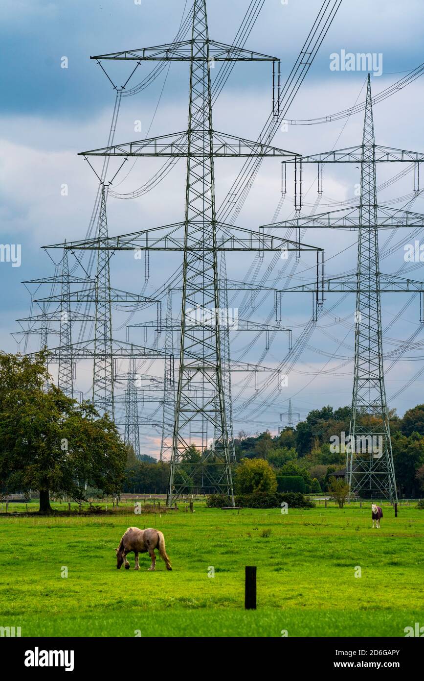 Extra-high voltage lines, 380 KV lines, near Marl, at Kusenhorst ...