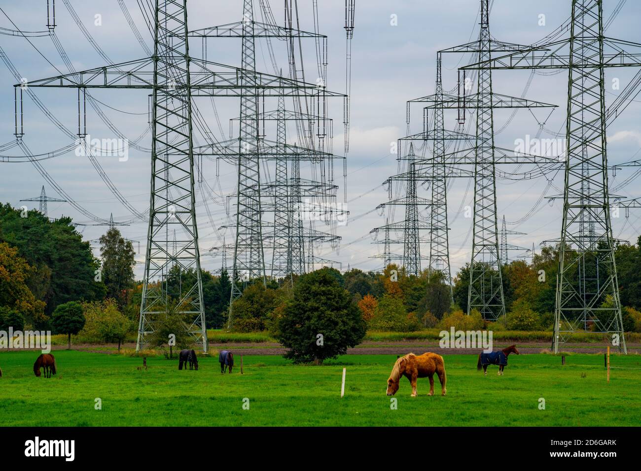 Extra-high voltage lines, 380 KV lines, near Marl, at Kusenhorst ...