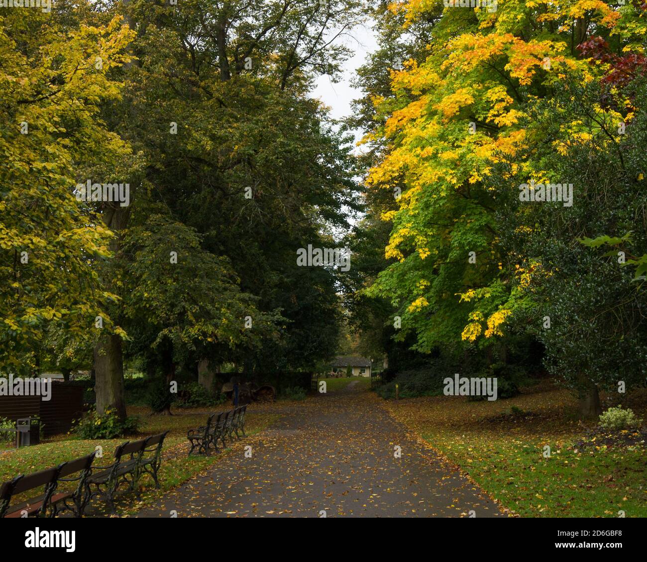 Darley park hi-res stock photography and images - Alamy