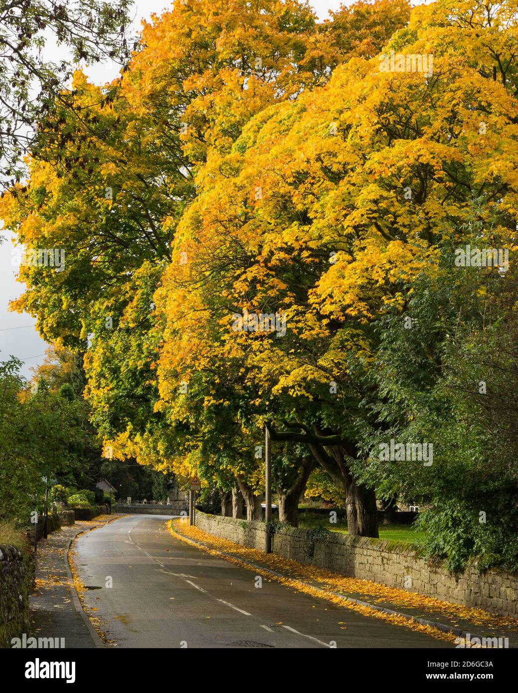 Darley street hi-res stock photography and images - Alamy
