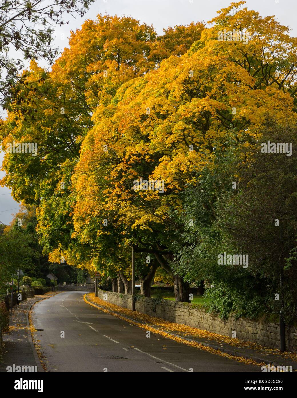 Street view in autumn colour, Darley Dale Derbyshire UK Stock Photo - Alamy
