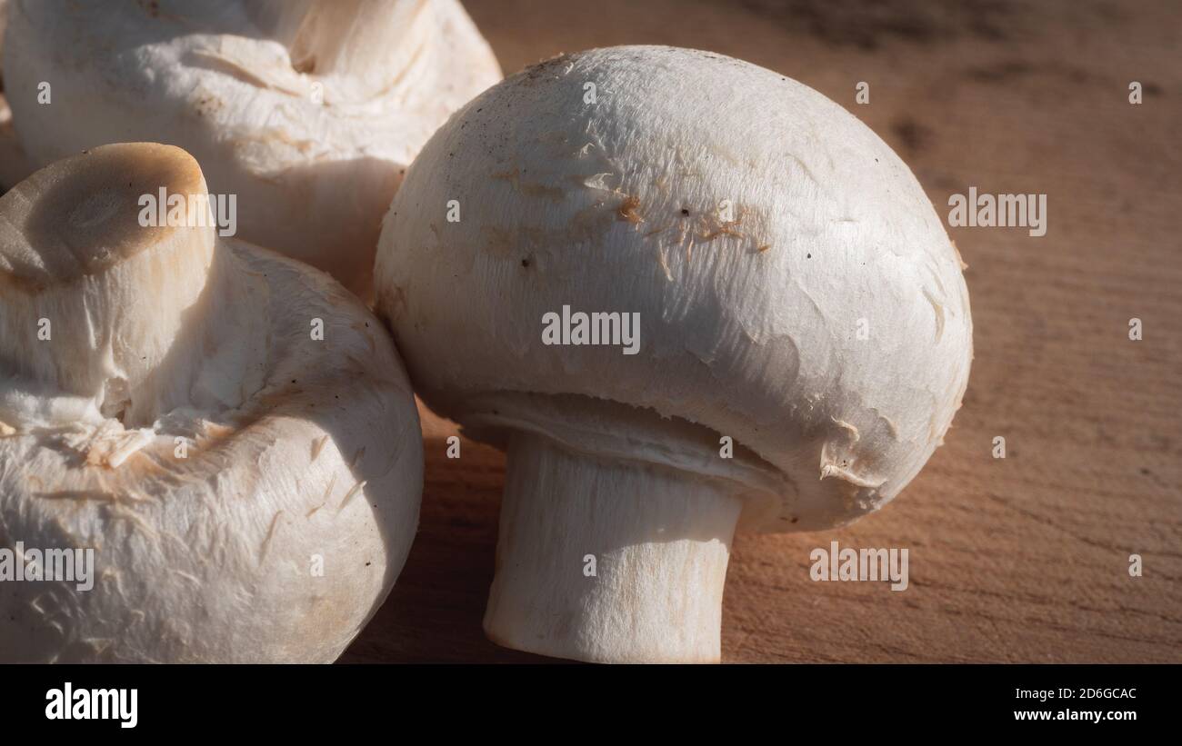 Fluffy bright white mushroom in great close up on wooden cutting board ...