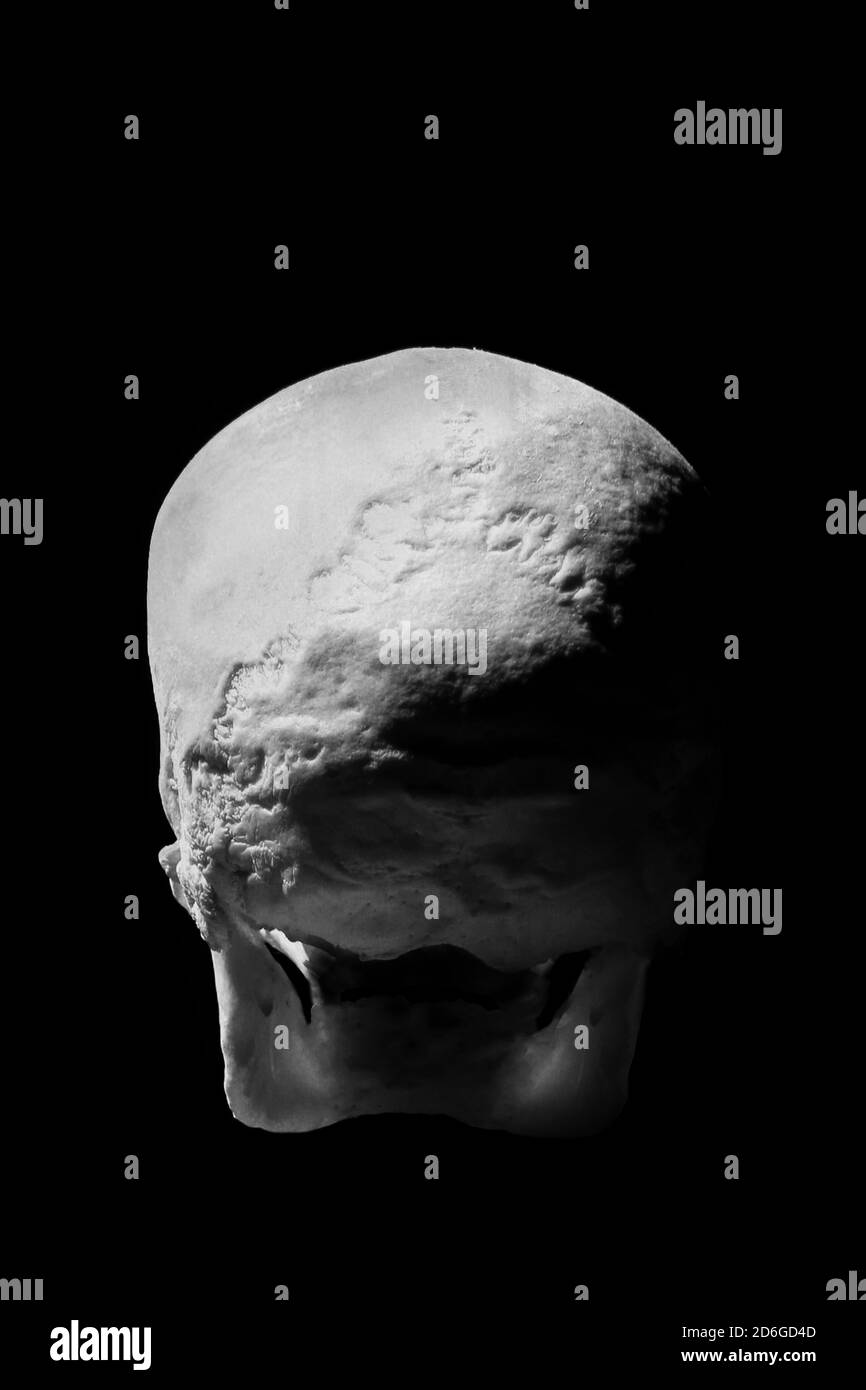 Human skull anatomical death abstract isloated Horror Stock Photo - Alamy