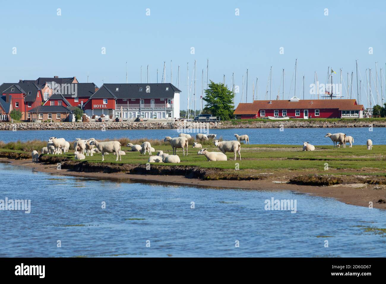 Deutschland, Schleswig-Holstein, Ostseeinsel Fehmarn, Lemkenhafen Stock ...