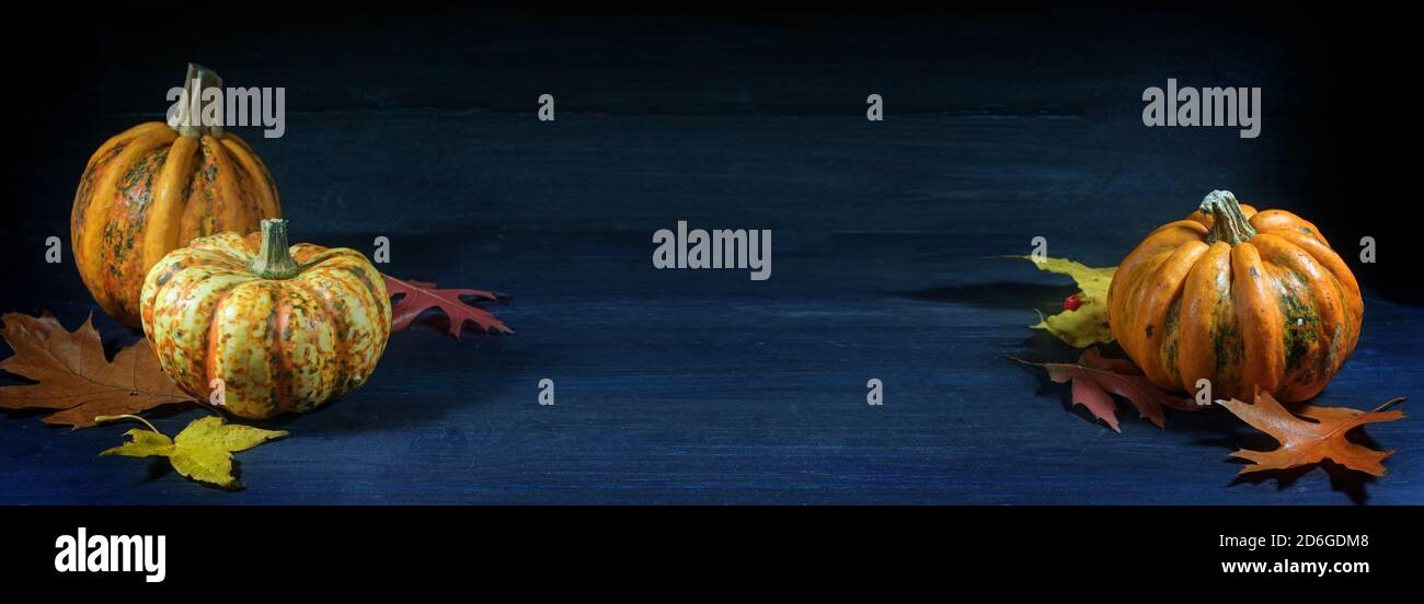 Pumpkins or squashes with colored autumn leaves, Halloween and ...