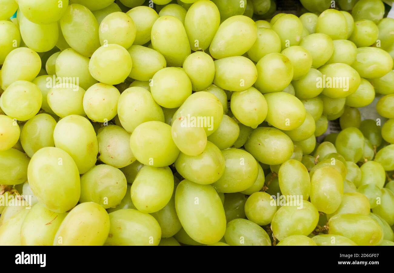 Sweet grapes shop display in market, I captured this image from Dhaka ...