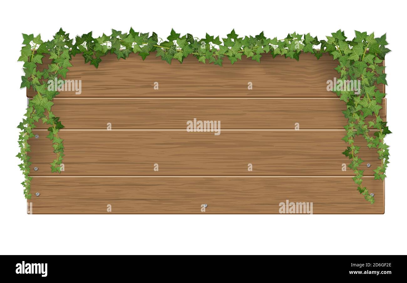 Wooden sticks isolated on Stock Vector Images - Alamy