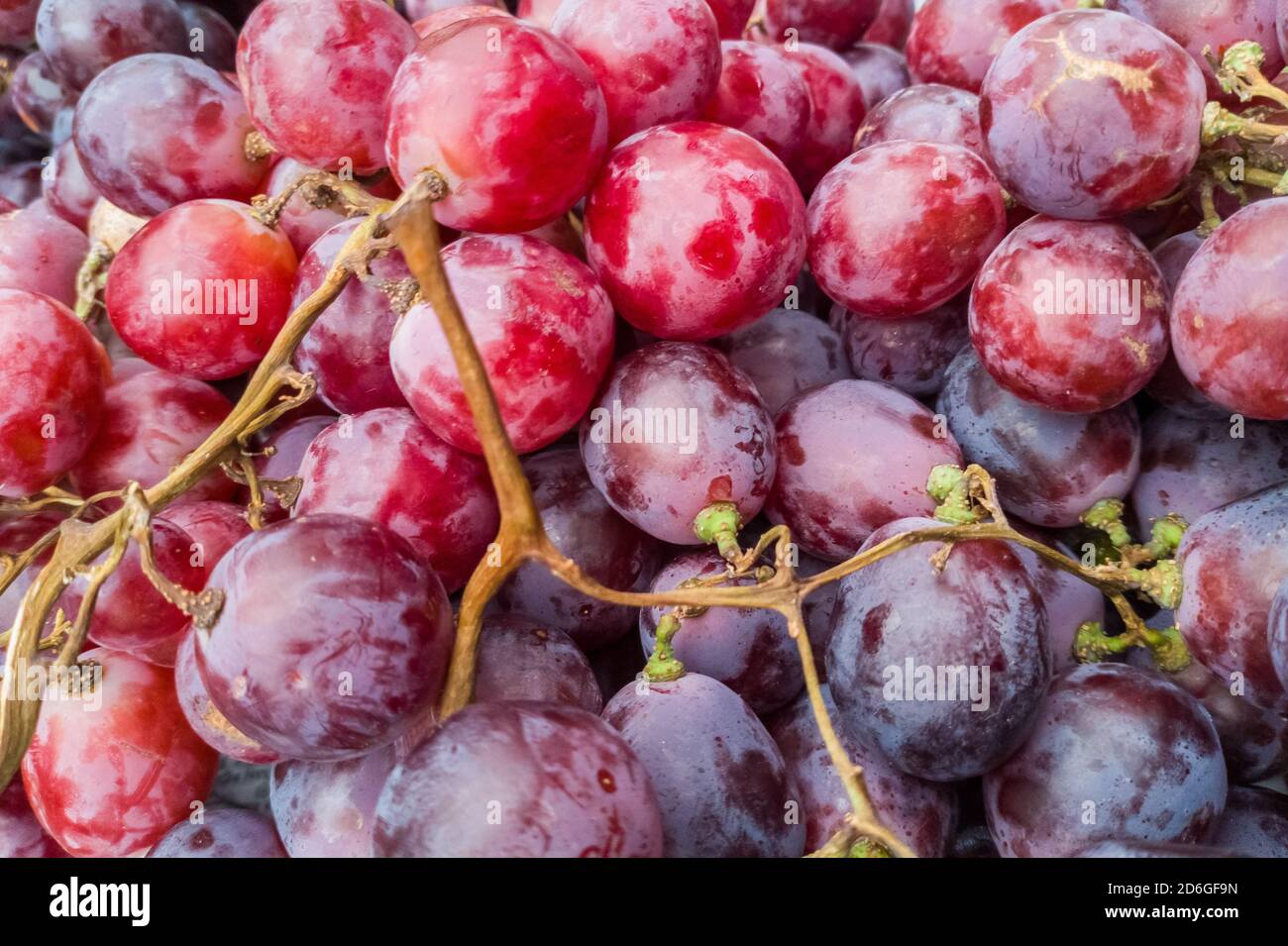 Sweet grapes shop display in market, I captured this image from Dhaka ...