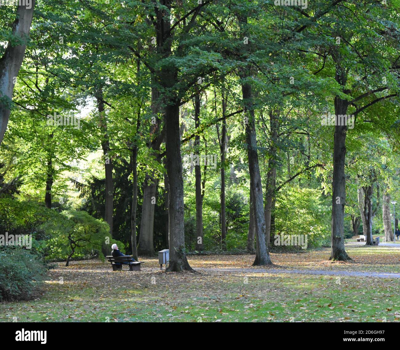 Man sitting at the park to relax Stock Photo - Alamy