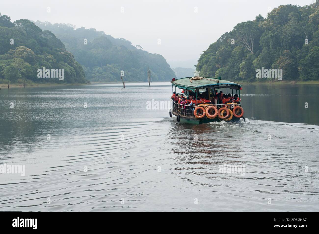 Thekkady boating in forest lake. boat safari in river Munnar Idukki ...