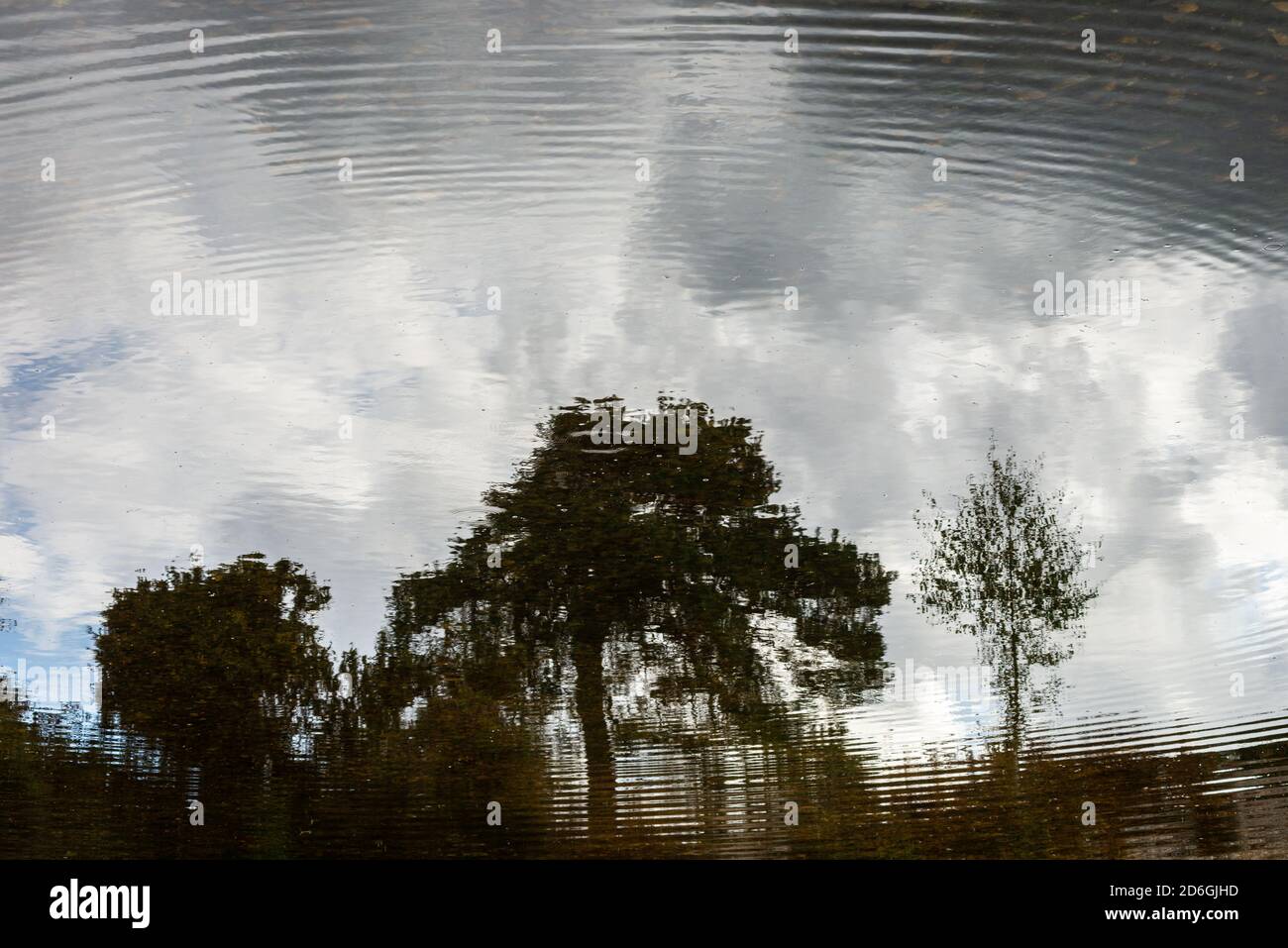 Ripples in water, reflection of sky with trees Stock Photo - Alamy